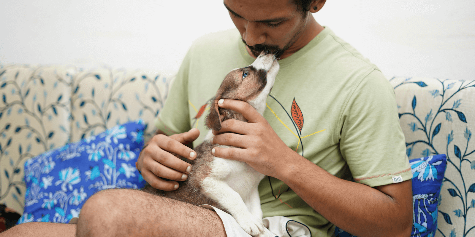 Inflammatory Bowel Disease (IBD) in Dogs: Signs & Treatment