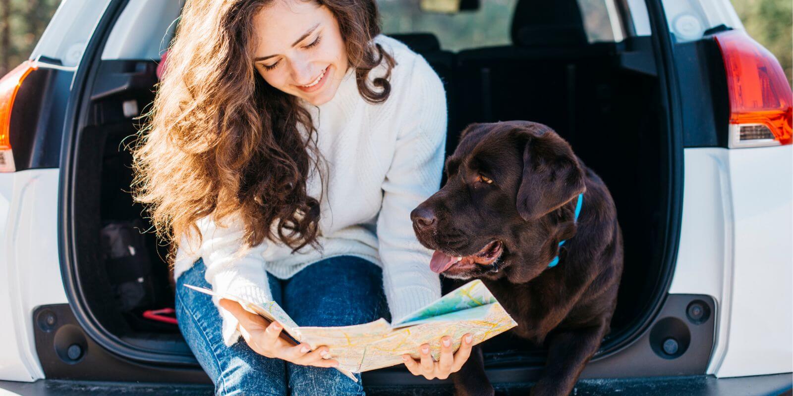 Ultimate Guide to Planning a Pet-Friendly Road Trip