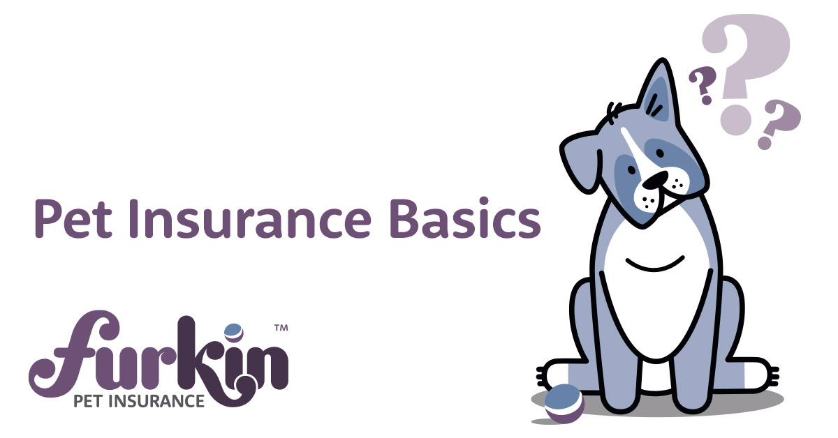 Pet Insurance Basics - Deductibles, Premiums, Coverage & More