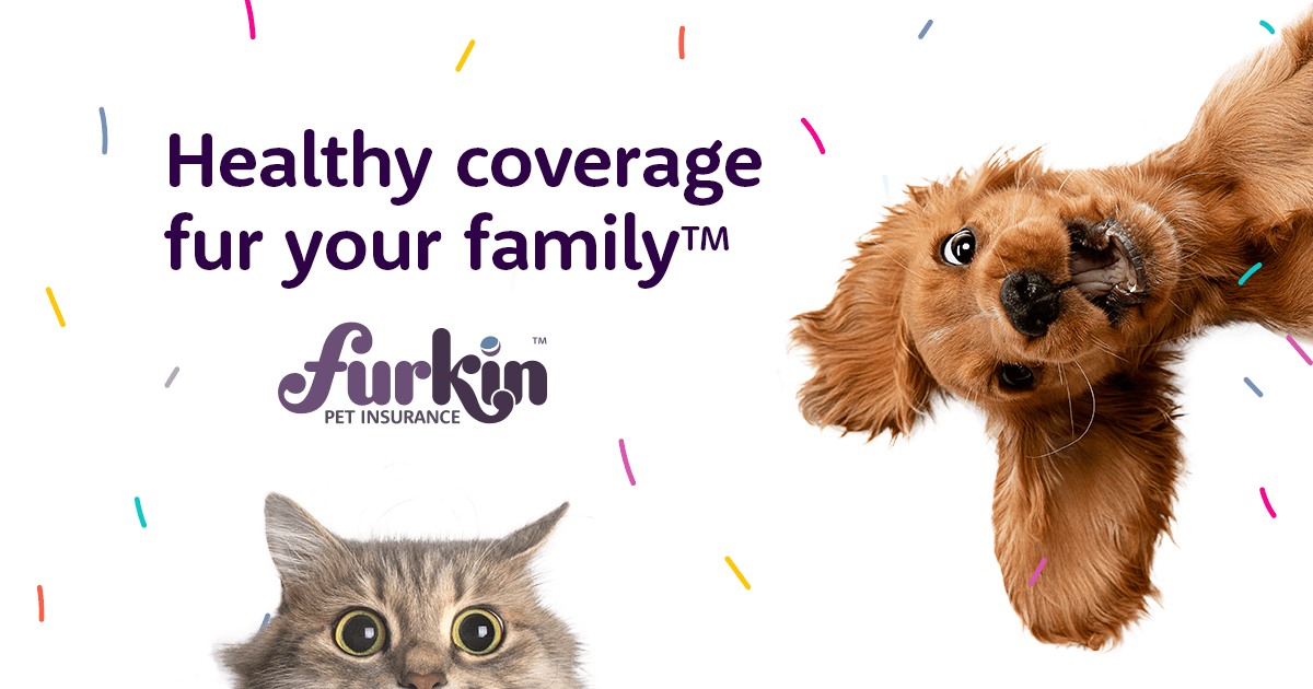 Best Dog & Cat Insurance in Canada | Furkin Pet Insurance